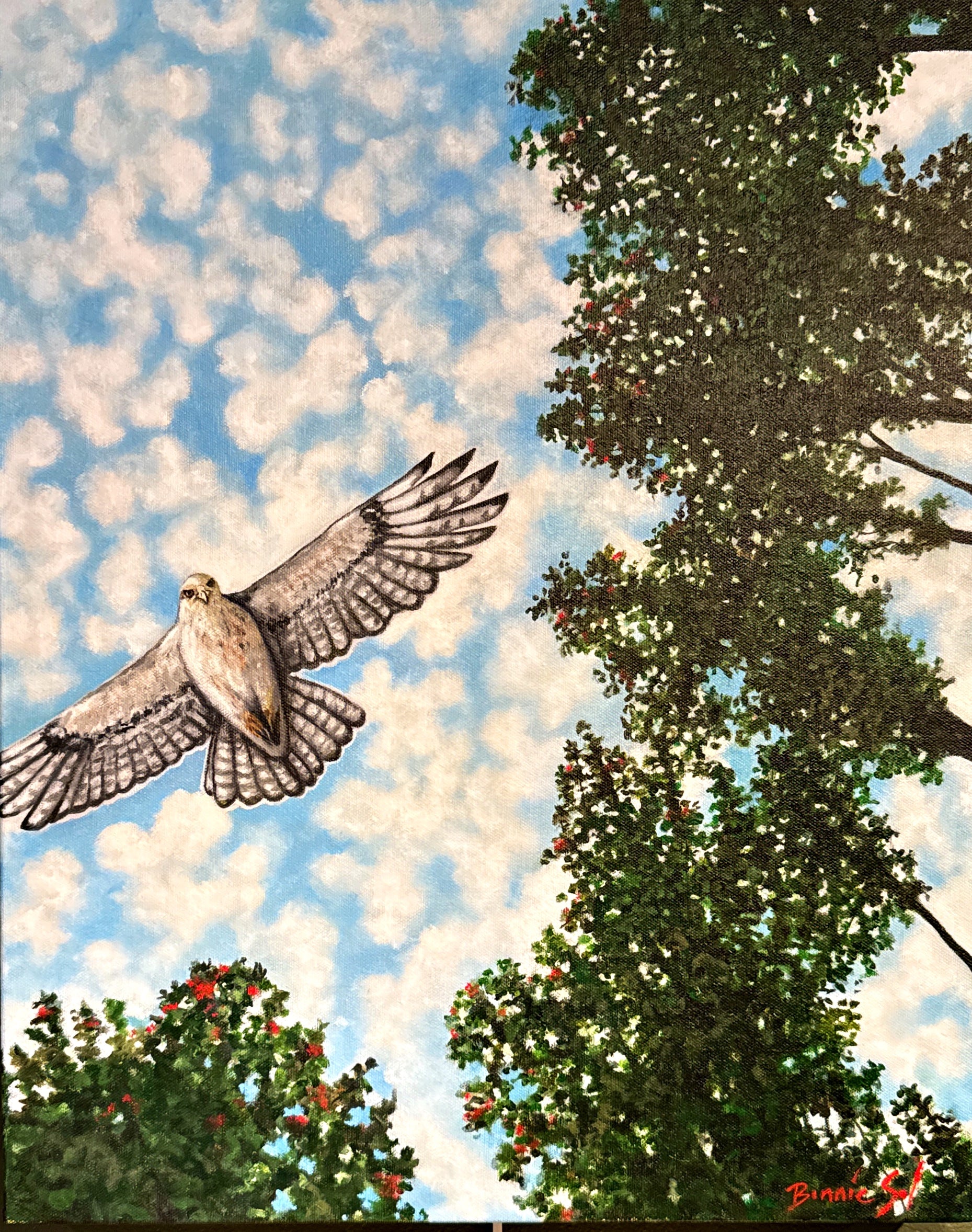 "A Io Flew Over Me" - Bonnie Sol – Cunningham Gallery