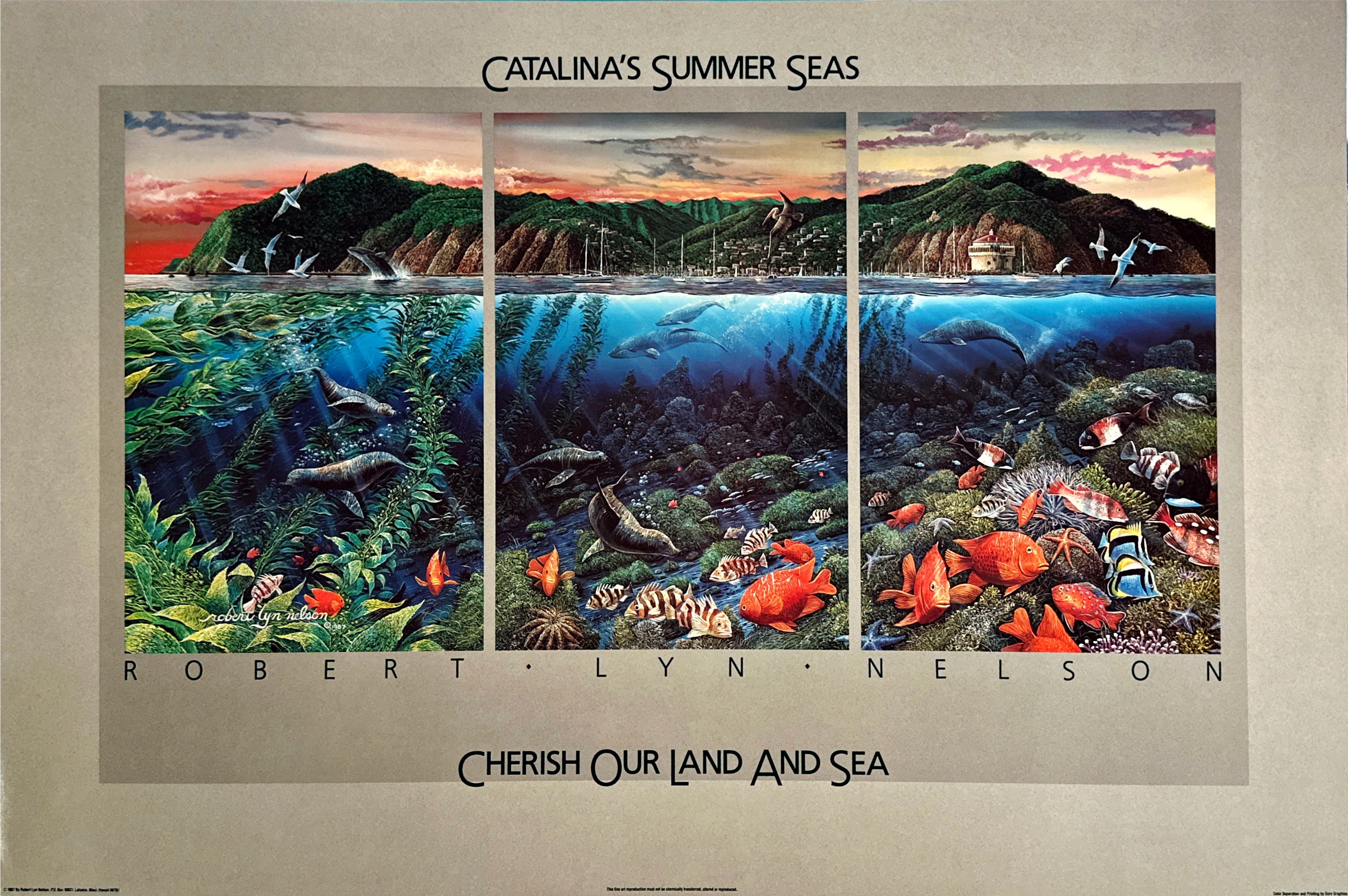 "Catalina Summer Seas" Poster - Robert Lyn Nelson – Cunningham Gallery