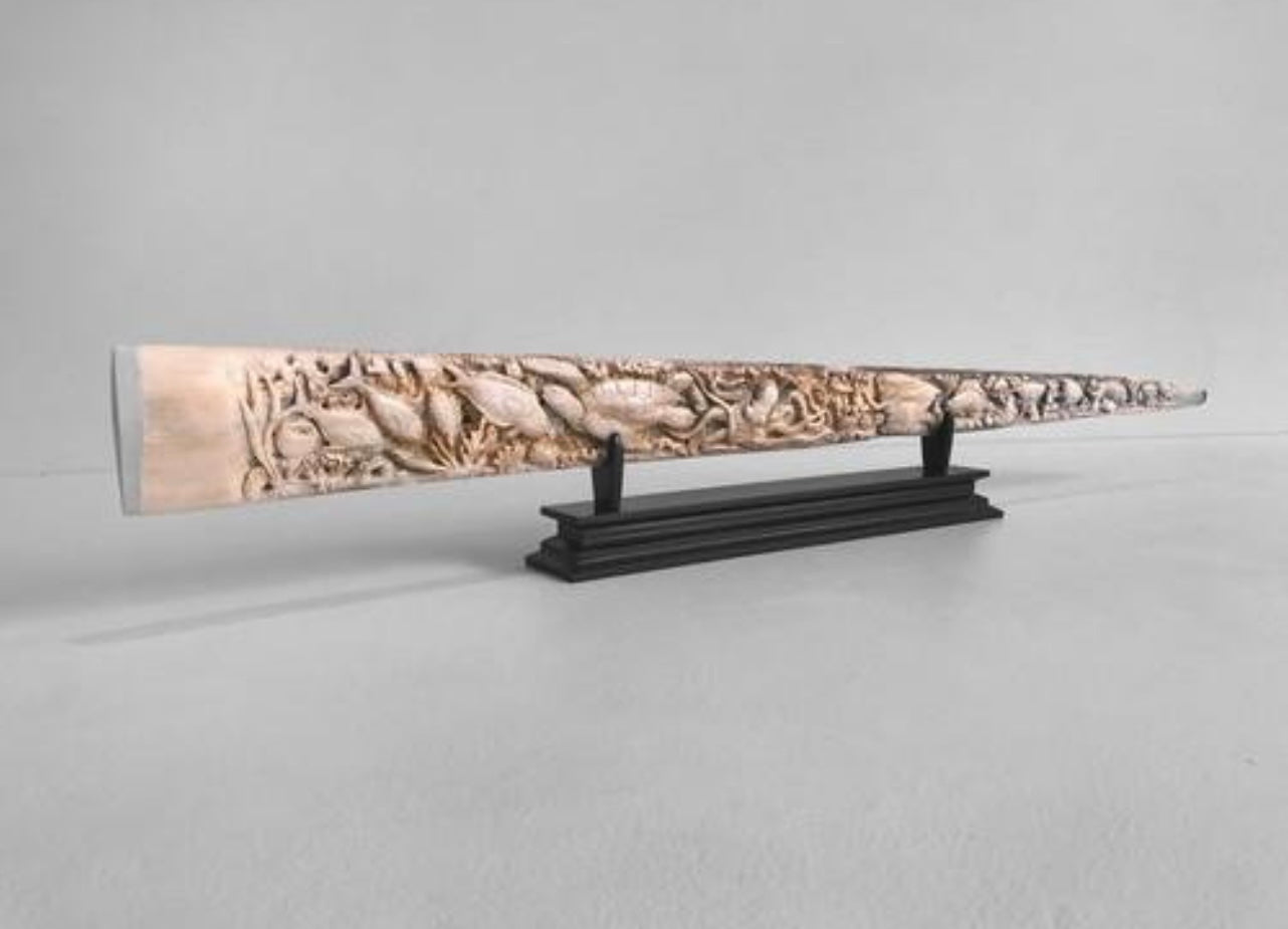 Engraved Swordfish Rostrum with Marine Motif – Cunningham Gallery